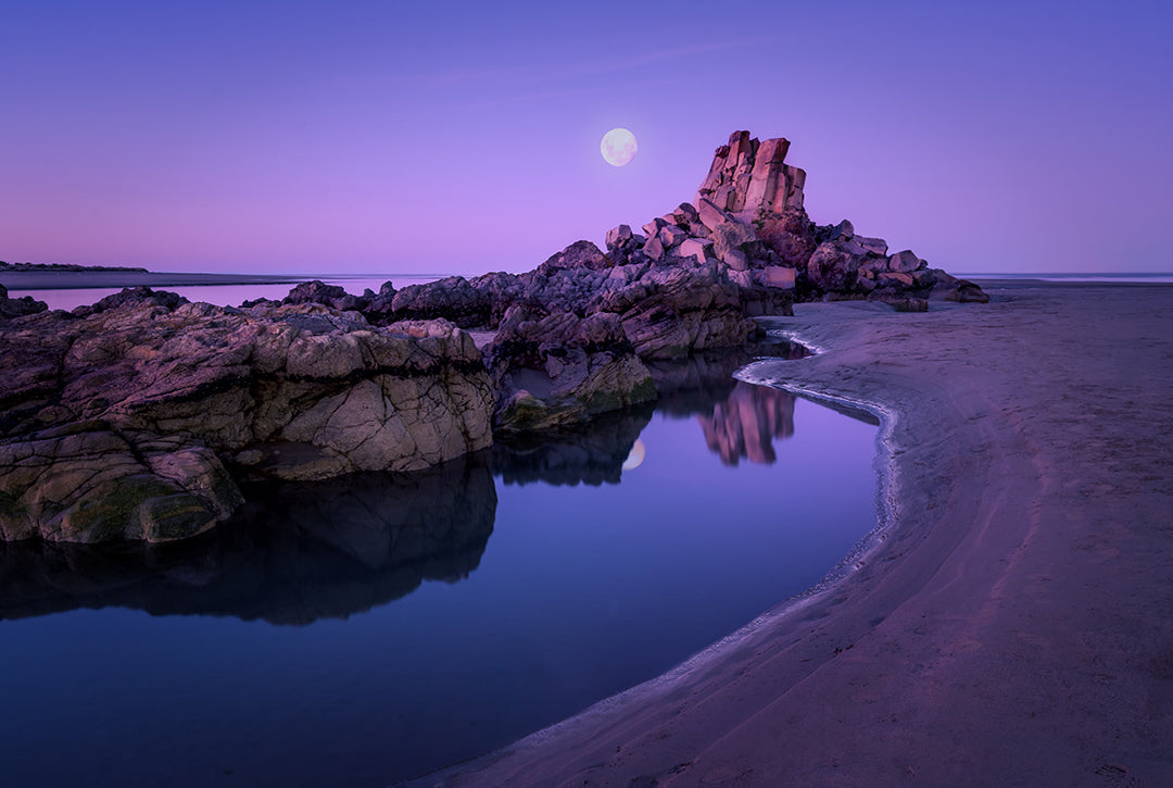 Shag Rock - Christchurch – Rachel Stevens Photography